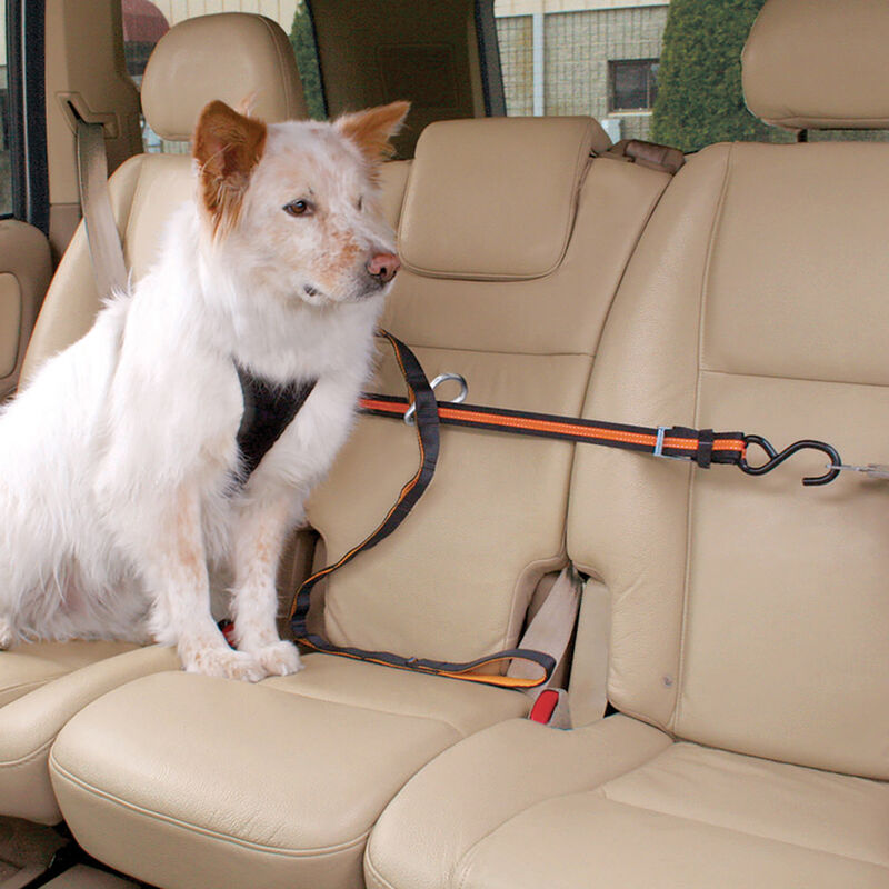 Kurgo Auto Zip Line With Leash Tether for Dogs – MollyWagz Pet Boutique