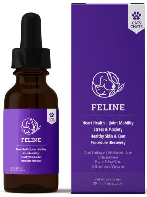 Reelax Feline Oil for Cats – MollyWagz Pet Boutique
